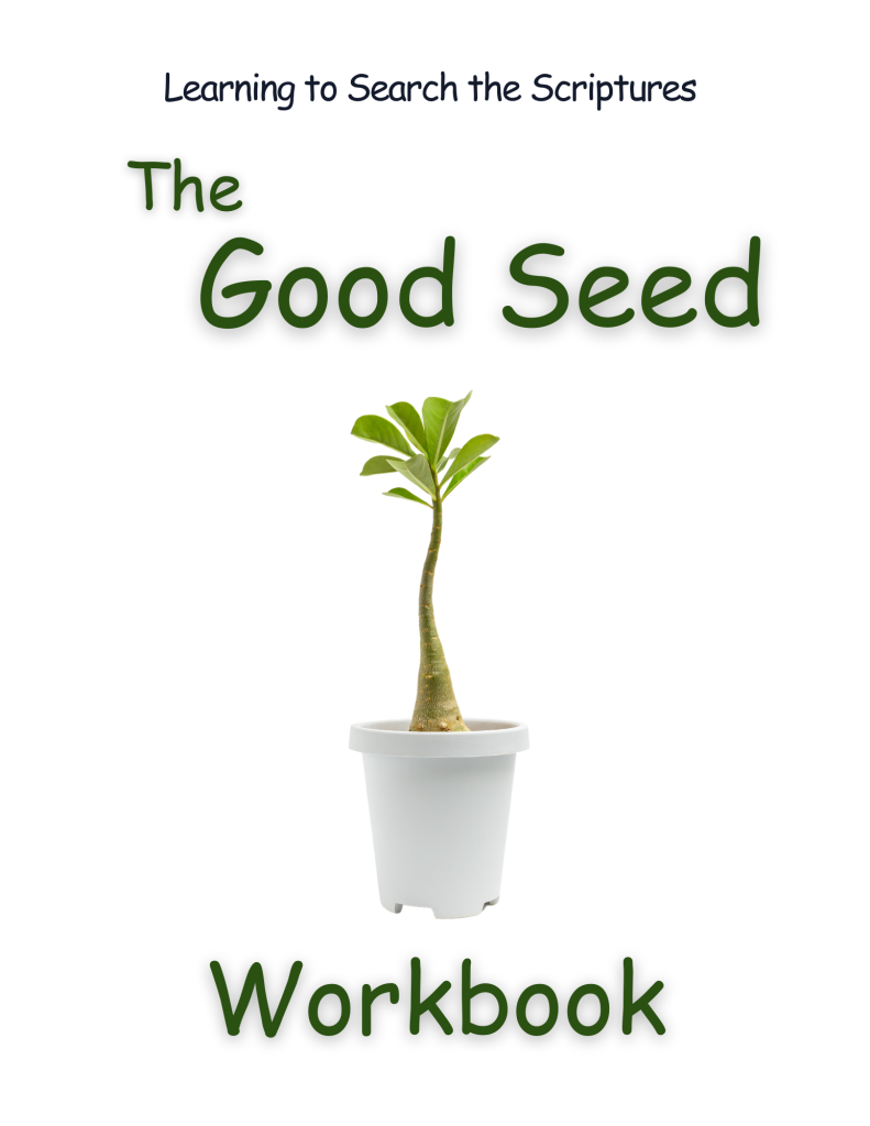 The Good Seed - Student Workbook - Kimber Curriculum